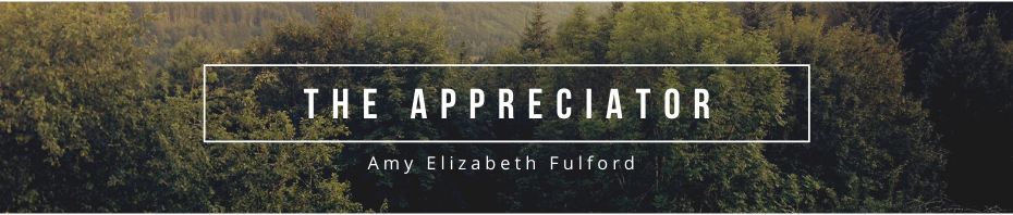 The Appreciator - Appreciating creativity, curiosity and connection